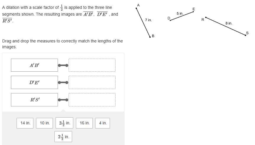 A dilation with a scale factor of $ {1}{2}$ | StudyX