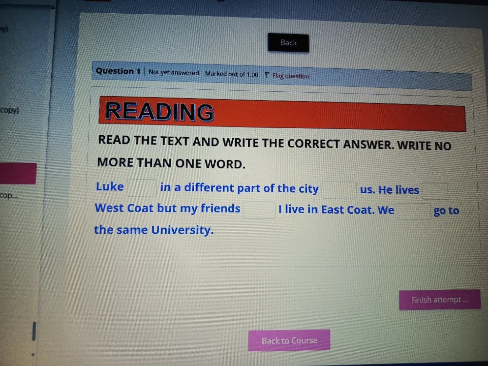 READING READ THE TEXT AND WRITE THE CORRECT