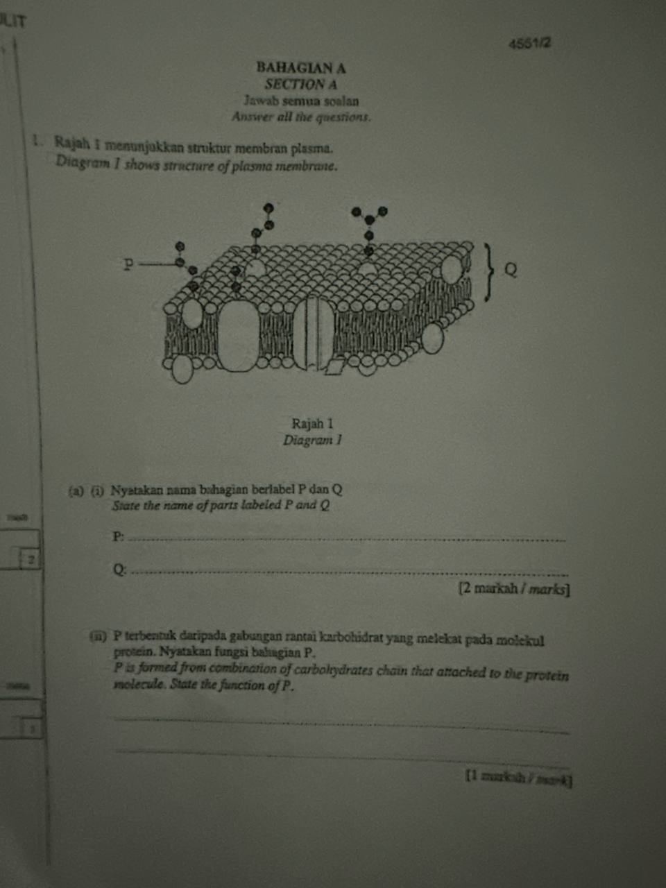 1. Rajah I menunjukkan struktur membran | StudyX