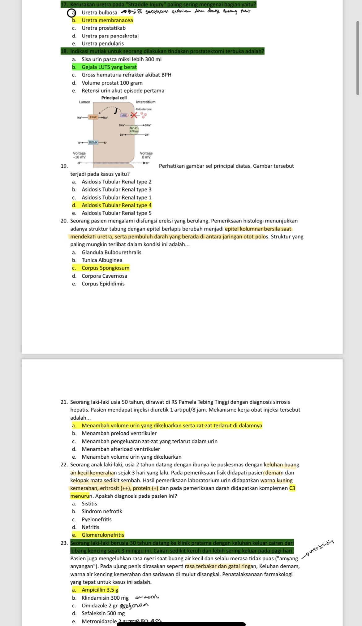 17. Kerusakan uretra pada "Straddle Injury" | StudyX