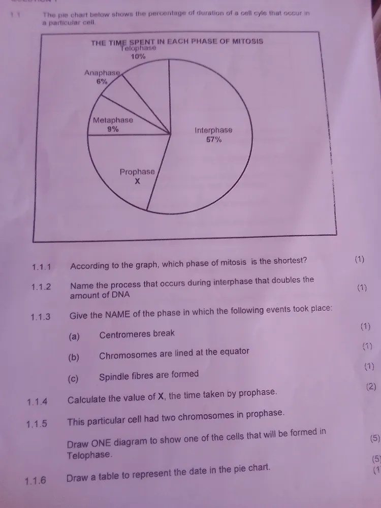 The pie chart below shows the percentage of | StudyX