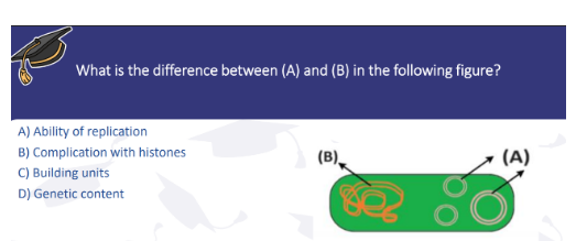 What is the difference between (A) and (B)