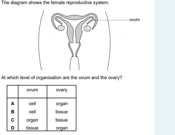 The diagram shows the female reproductive | StudyX