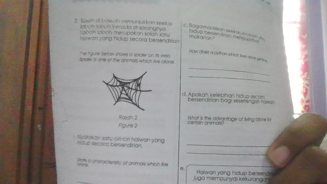 3. Rajah di bawah menunjukkan seekor | StudyX