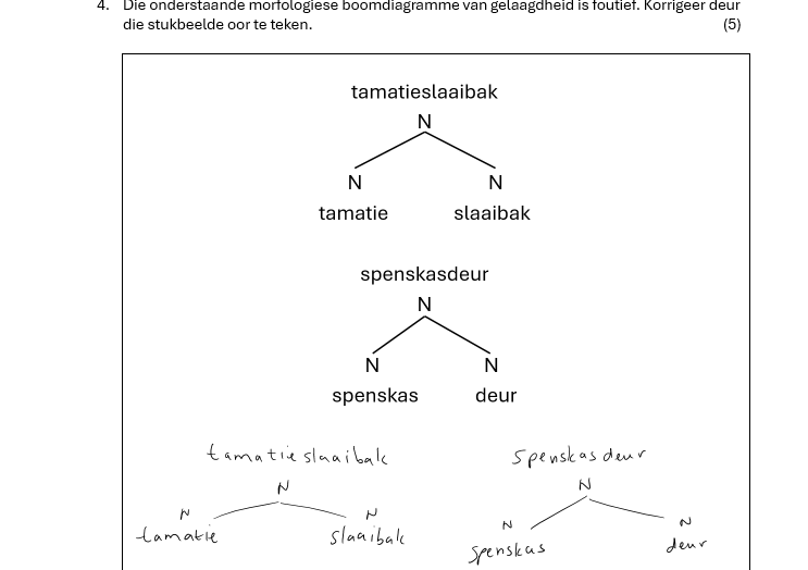 4. Die onderstaande mortologiese | StudyX