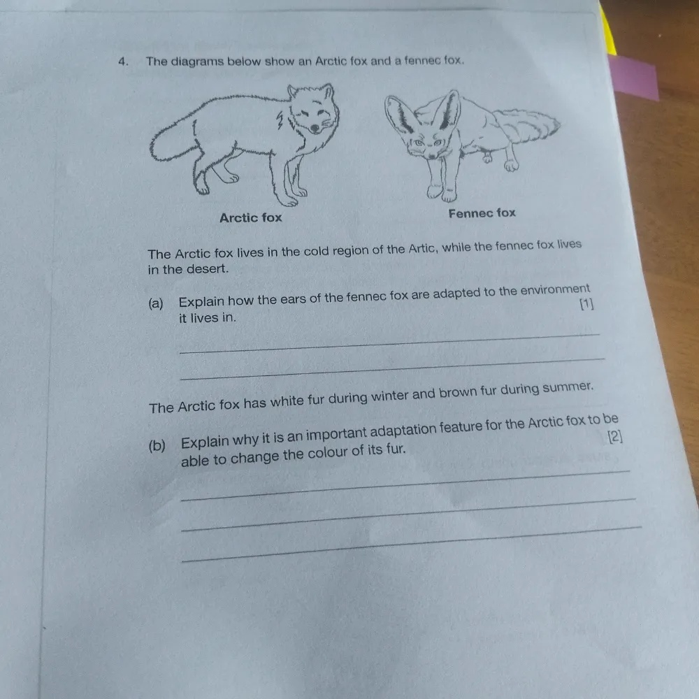 4. The diagrams below show an Arctic fox and | StudyX