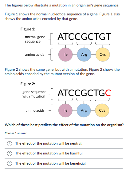 The figures below illustrate a mutation in | StudyX