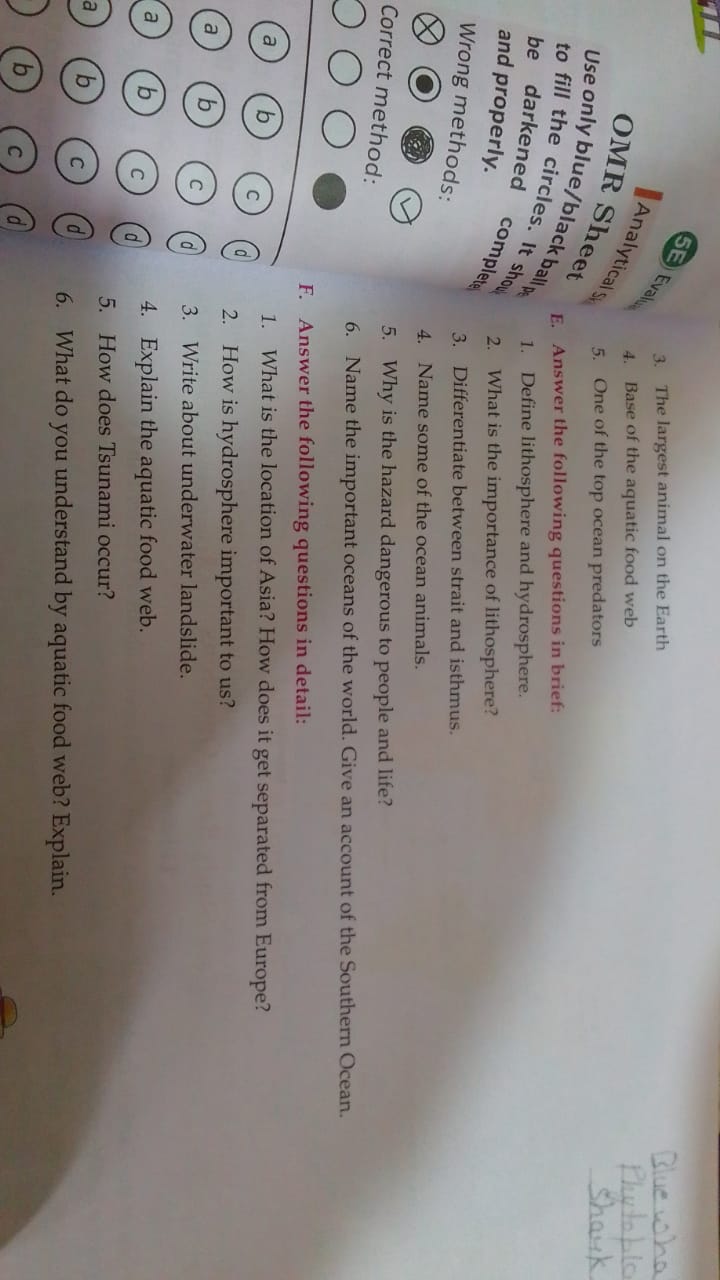 E. Answer the following questions in brief: | StudyX