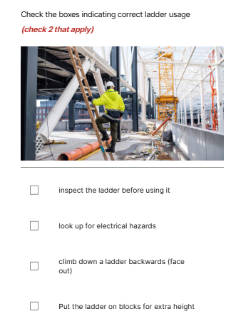 Check the boxes indicating correct ladder | StudyX