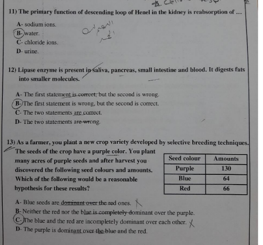 11) The primary function of descending loop | StudyX