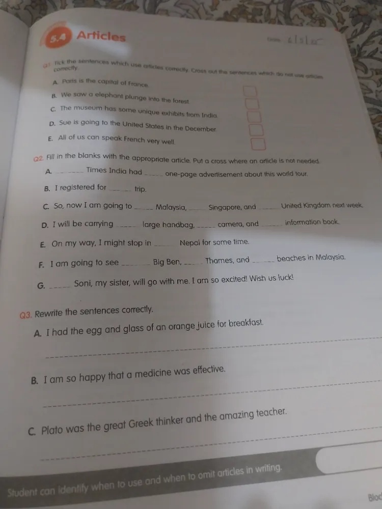 Q1. Tick the sentences which use articles | StudyX