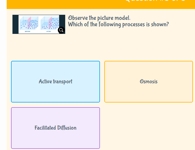 Observe the picture model. Which of the | StudyX