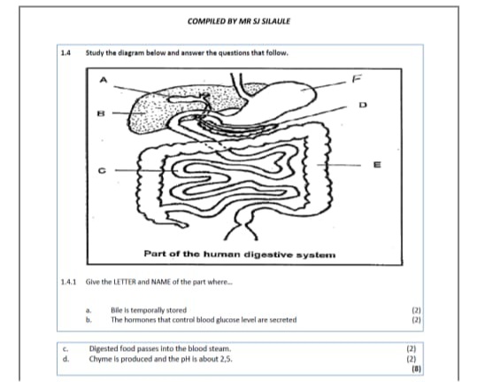 1.4 Study the diagram below and answer the | StudyX