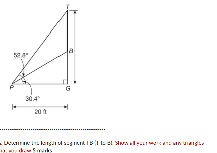 Determine the length of segment TB (T to B). | StudyX