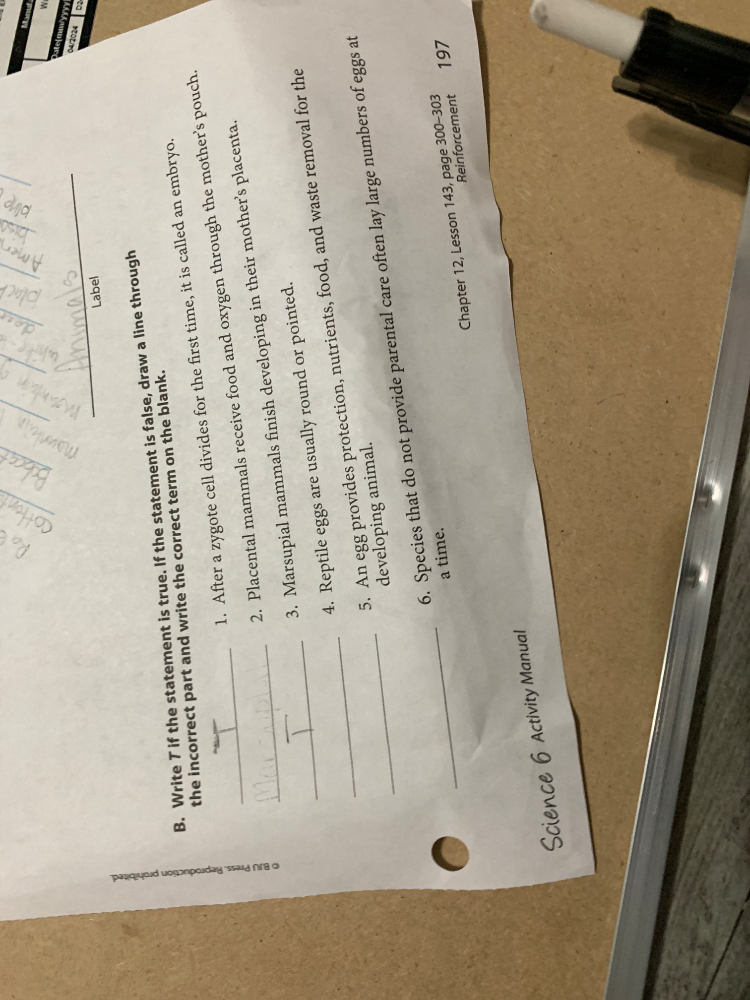 B. Write T if the statement is true. If the | StudyX