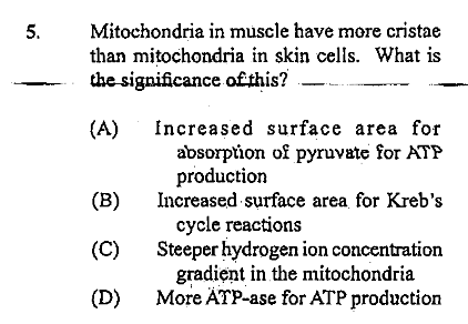 Mitochondria in muscle have more cristae | StudyX