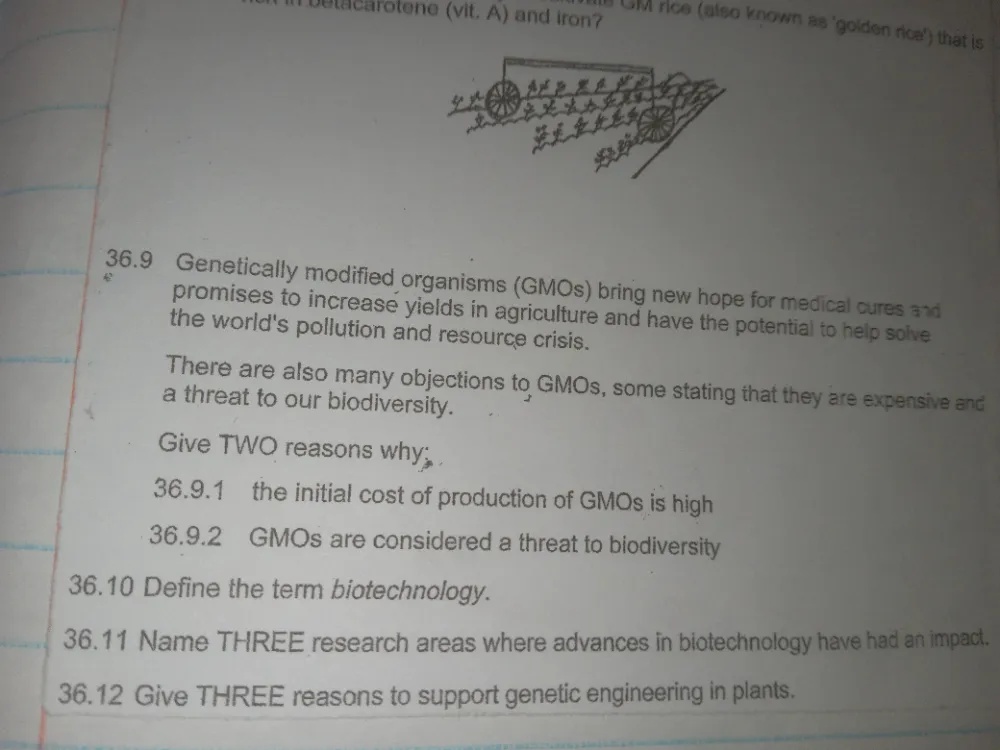 36.9 Genetically modified organisms (GMOs) | StudyX