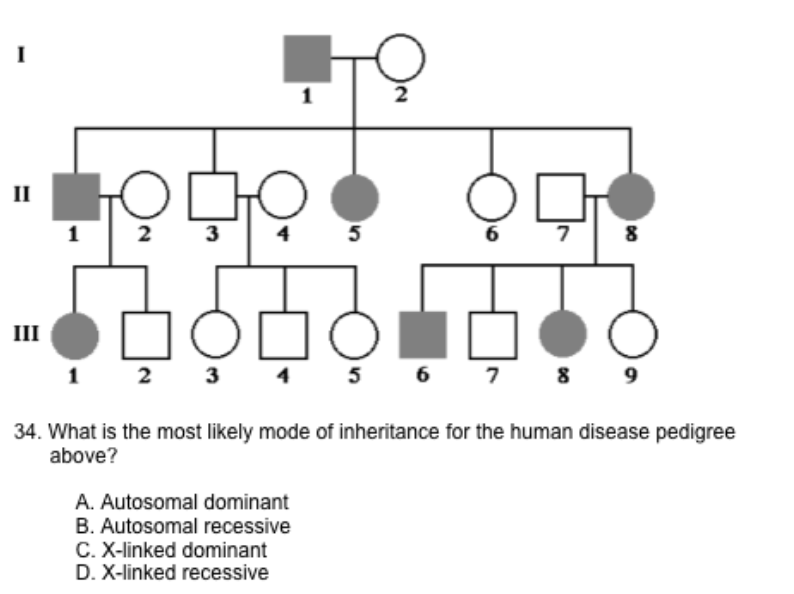 IIIIII34 What is the most likely mode of | StudyX IIIIII34 What is the most likely mode of | StudyX