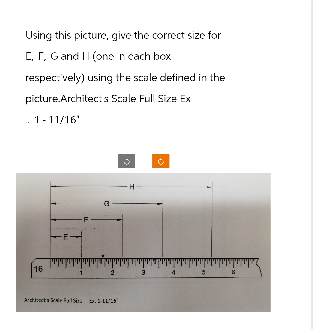 Using this picture give the correct size | StudyX