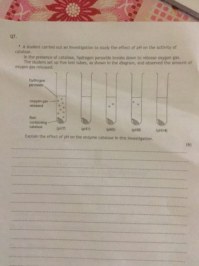 Q7 - A student carried out an investigation | StudyX