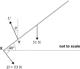 Figure 1 shows an athlete holding a vaulting | StudyX
