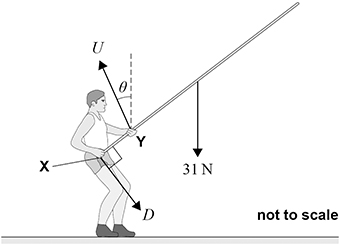 Figure 1 shows an athlete holding a vaulting | StudyX