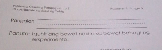 Pahinang Gawaing Pampagkatuto 1 Eksperimento | StudyX