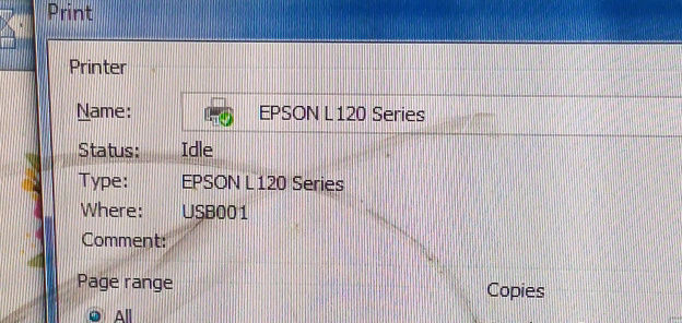 Print Printer Name EPSON L120 Series Status | StudyX