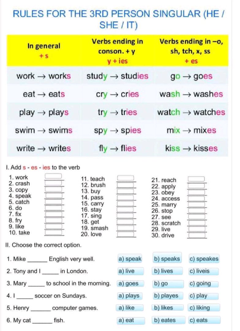 RULES FOR THE 3RD PERSON SINGULAR (HE / | StudyX