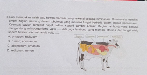 4 Sapi merupakan salah satu hewan mamalia | StudyX
