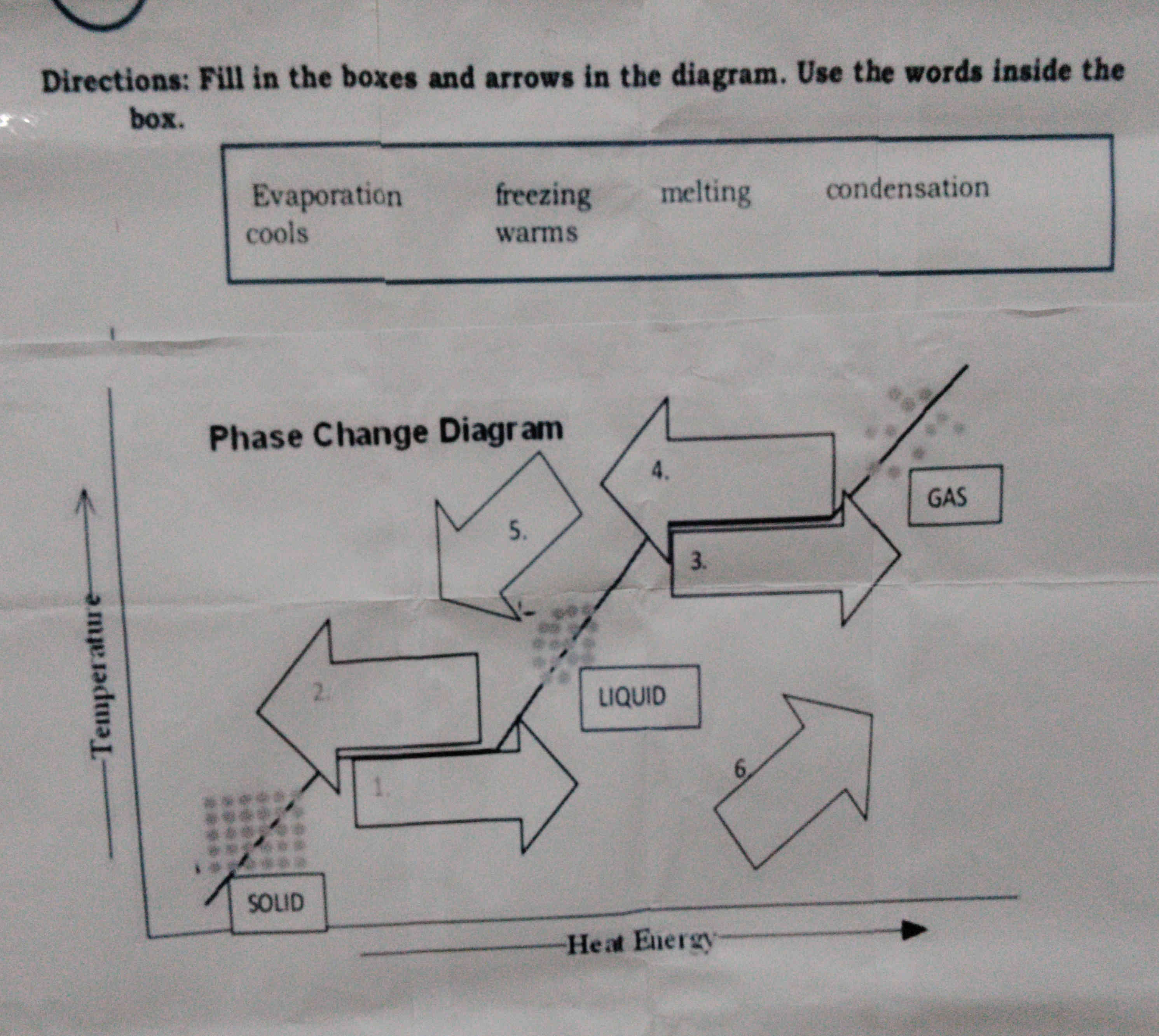 Directions Fill in the boxes and arrows in | StudyX
