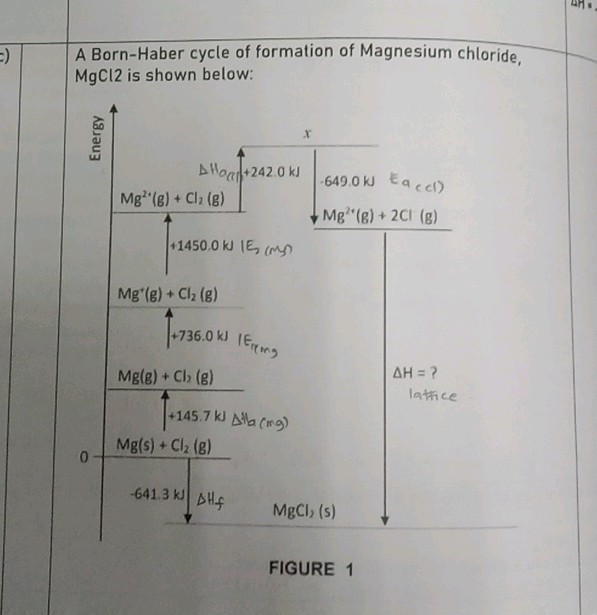A Born-Haber cycle of formation of Magnesium | StudyX