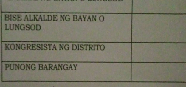 BISE ALKALDE NG BAYAN O LUNGSO KONGRESISTA | StudyX
