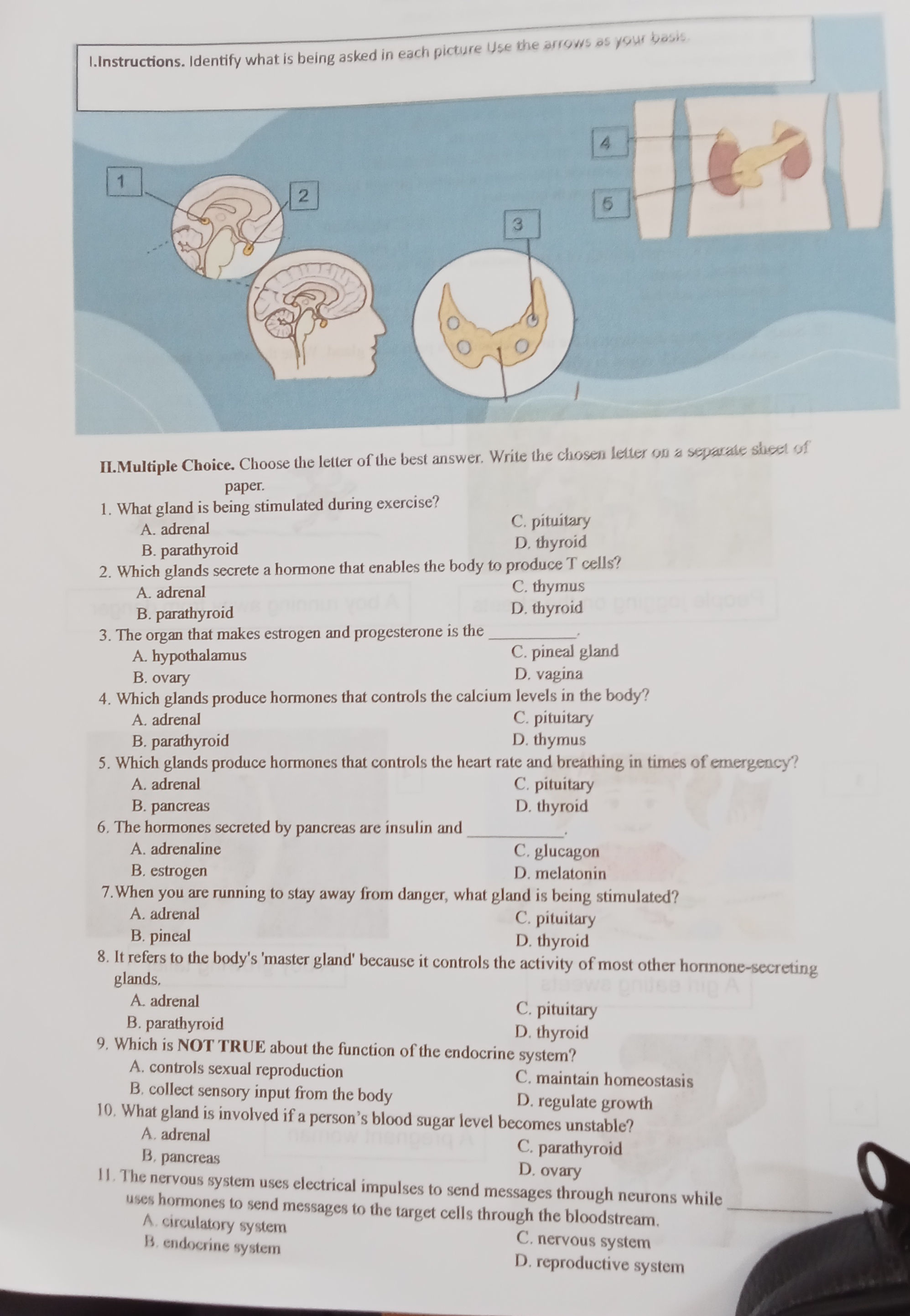 IInstructions Identify what is being asked | StudyX