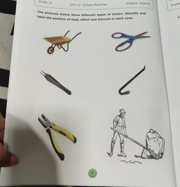 The pictures below show different types of | StudyX