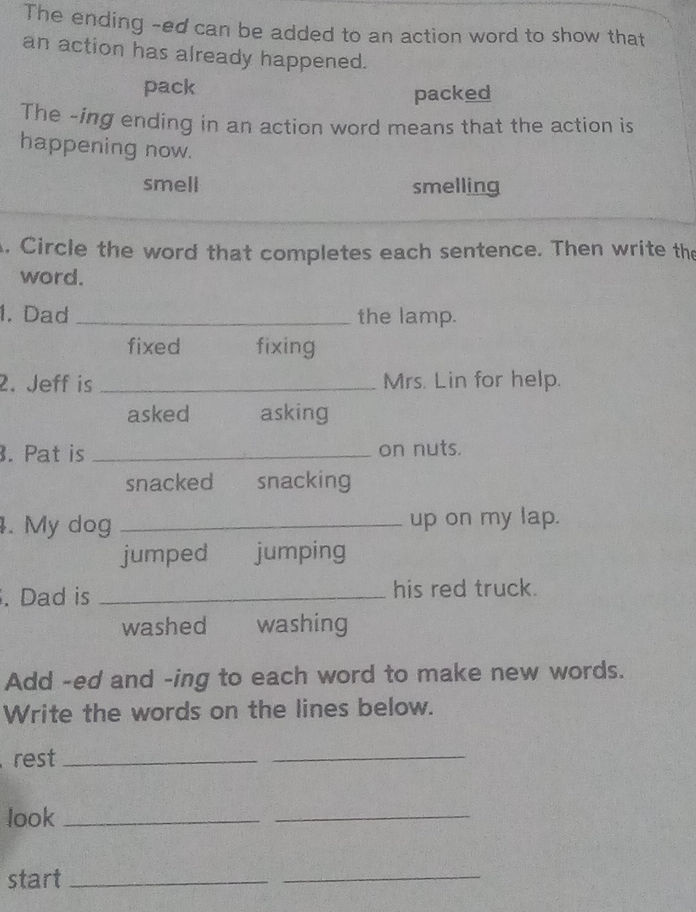 The ending -ed can be added to an action | StudyX