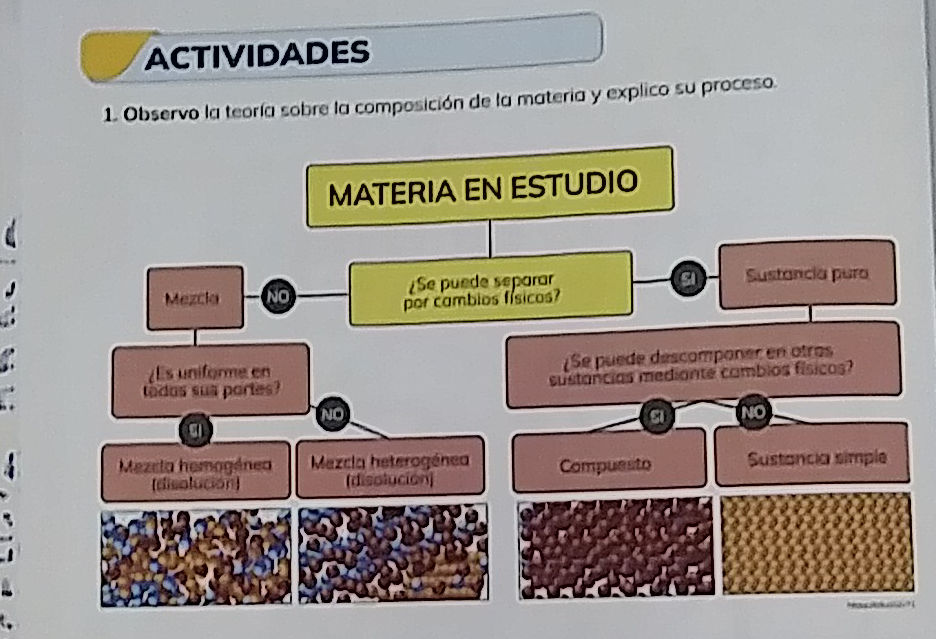 ACTIVIDADES 1 Observo la teora sobre la | StudyX