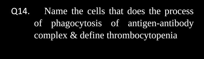Q14 Name the cells that does the process of | StudyX