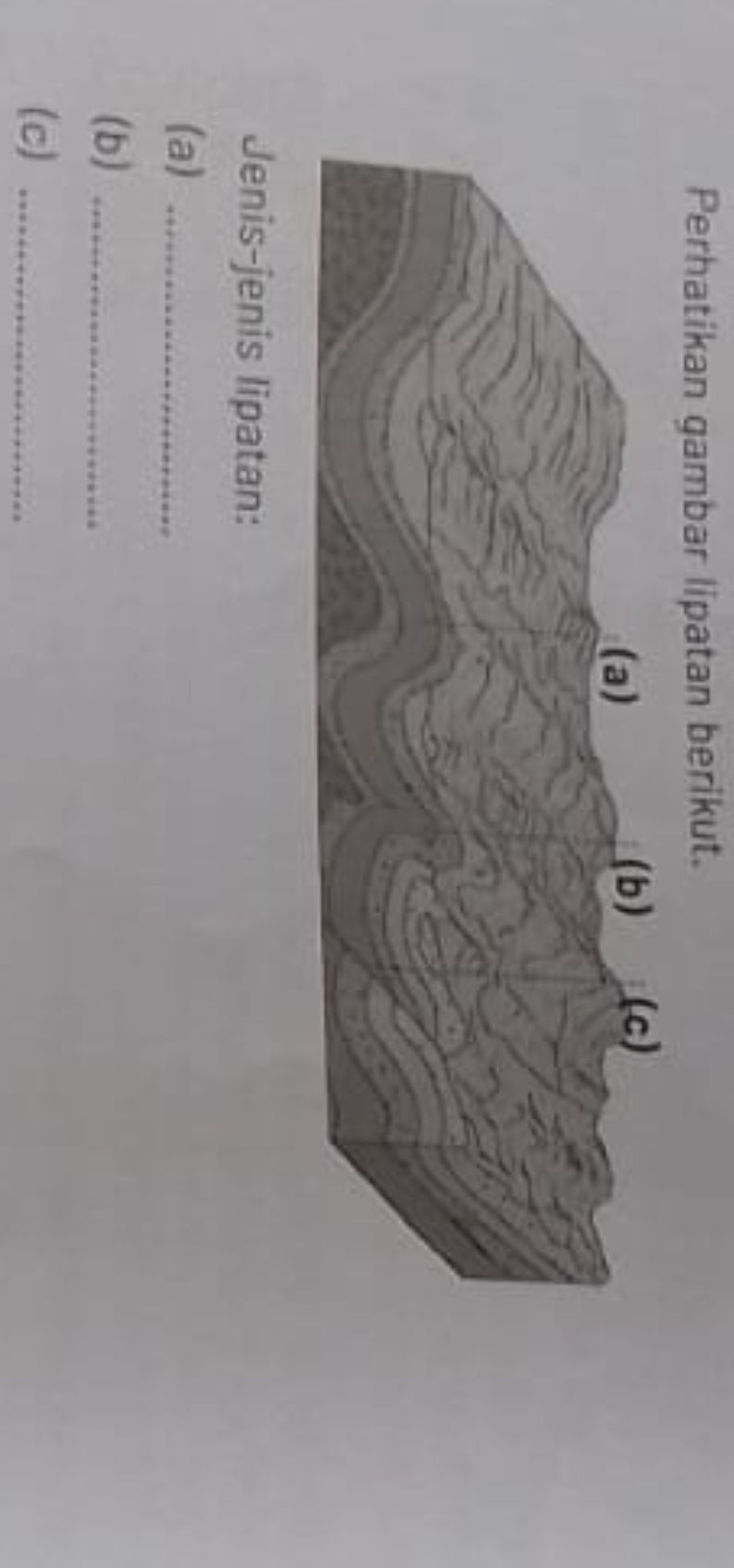 Perhatikan gambar lipatan berikut | StudyX