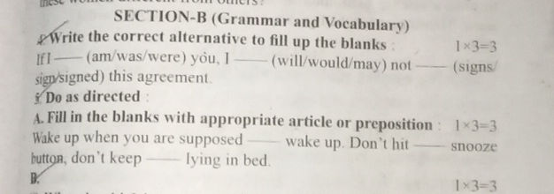 SECTION-B (Grammar and Vocabulary) Write the | StudyX