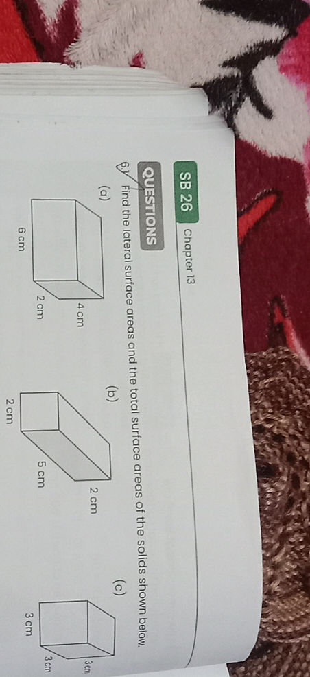 6 Find the lateral surface areas and the | StudyX