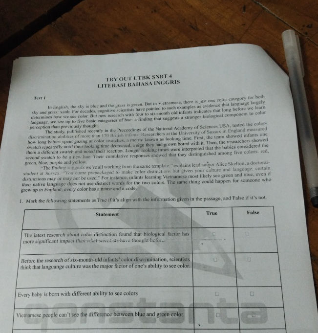 Text 1 TRY OUT UTBK SNBT 4 LITERASI BAHASA | StudyX