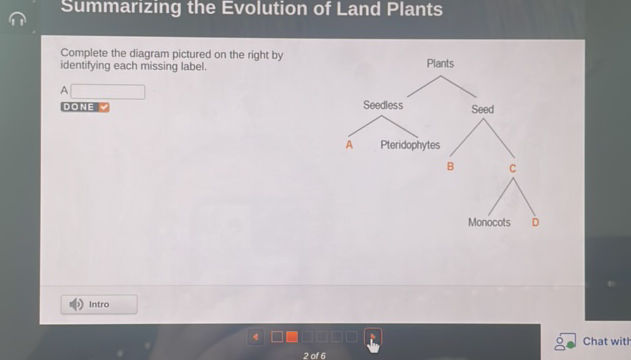 Summarizing the Evolution of Land Plants | StudyX