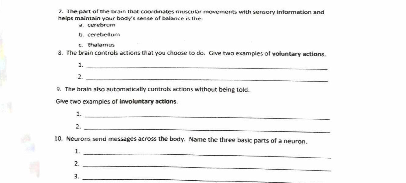 7 The part of the brain that coordinates | StudyX