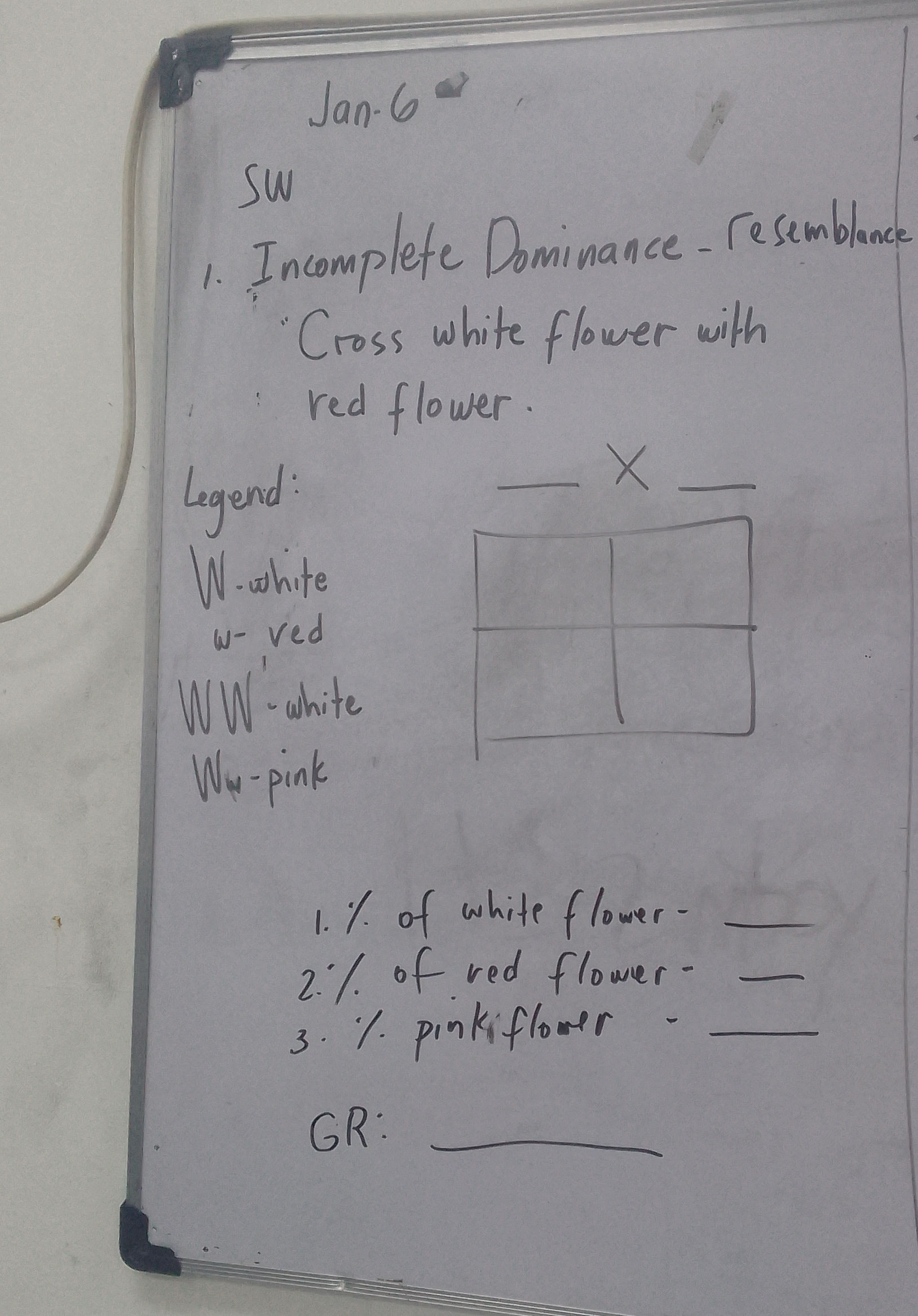 SW Jan-6 1 Incomplete Dominance - | StudyX