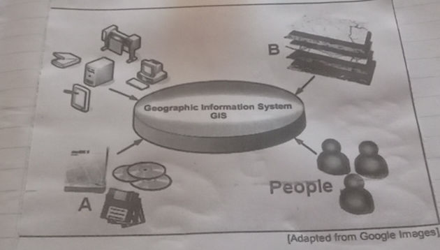 Geographic Information System (GIS) | StudyX
