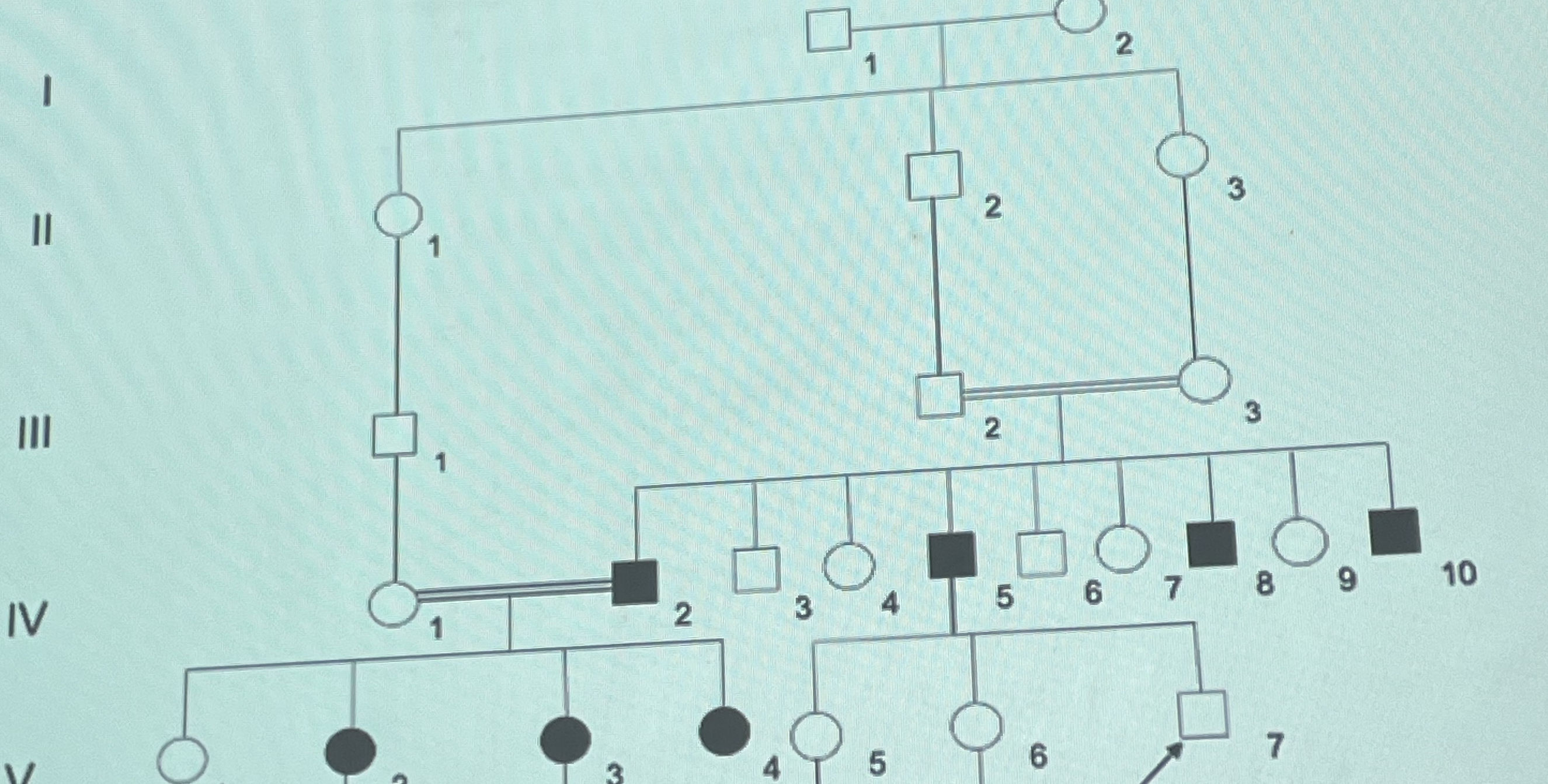 The image contains a pedigree chart showing | StudyX