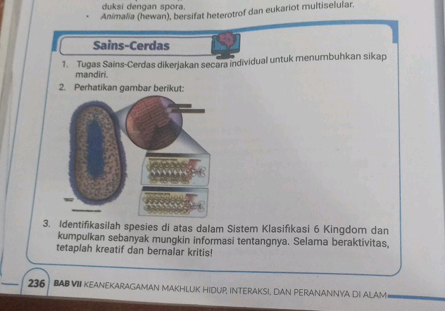 2 Perhatikan gambar berikut Gambar sel dan | StudyX