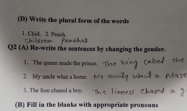(D) Write the plural form of the words 1 | StudyX