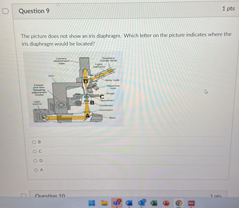 Question 9 1 pts The picture does not show | StudyX